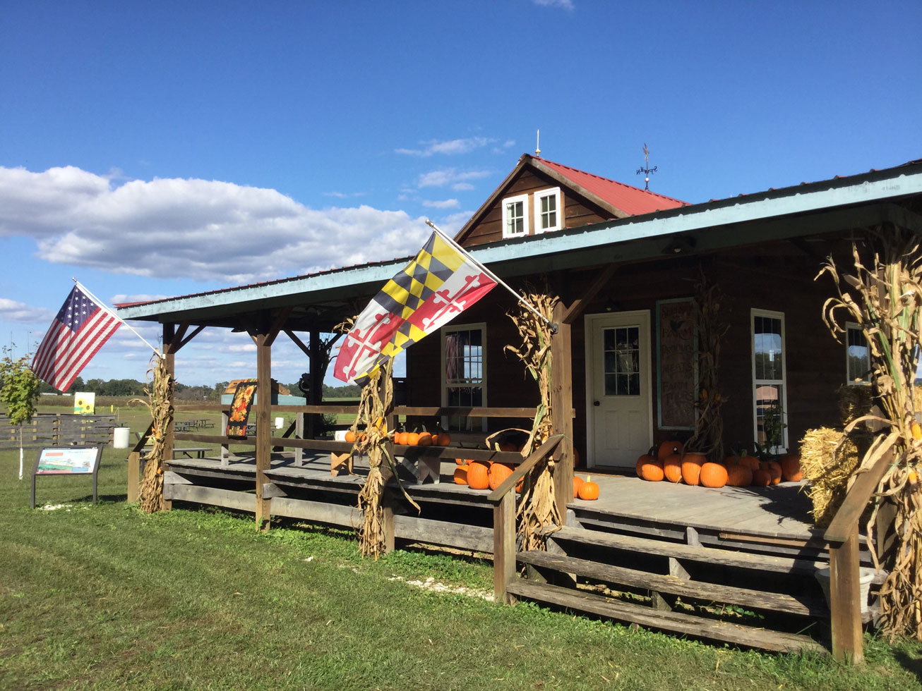 Home - Serenity Farm